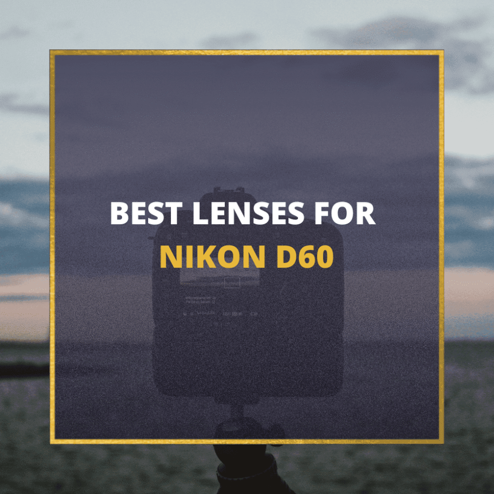 These are 10 MUST-HAVE lenses for Nikon D60 [In 2022]