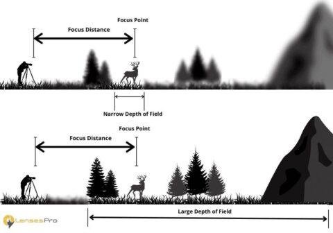 📸 Depth of Field In Photography Explained - Guide (2024) - Buying ...