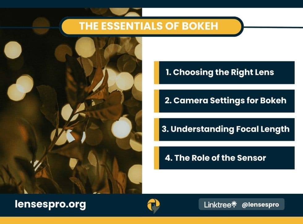 Bokeh Photography: A Simple Guide To Stunning Blur Effects