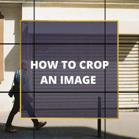 How to Crop an Image: A Beginner's Guide For Perfect Images - Buying ...