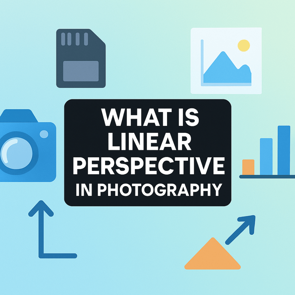 Sony A7C Camera Review – Is It Still Worth It in 2026? - Buying lenses ...
